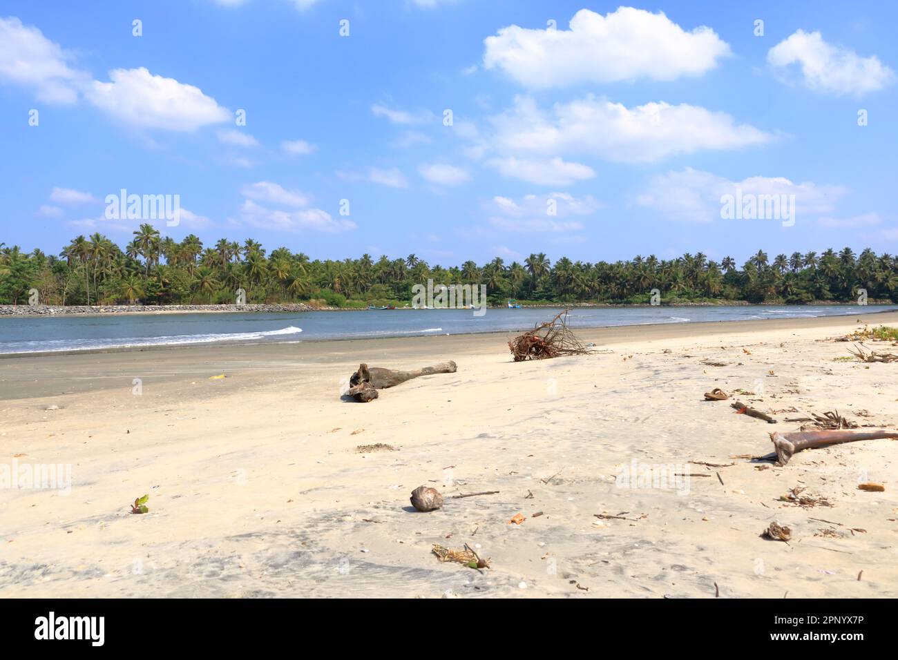 the lake and backwaters behind Dharmadam beach in Kannur, Kerala in ...