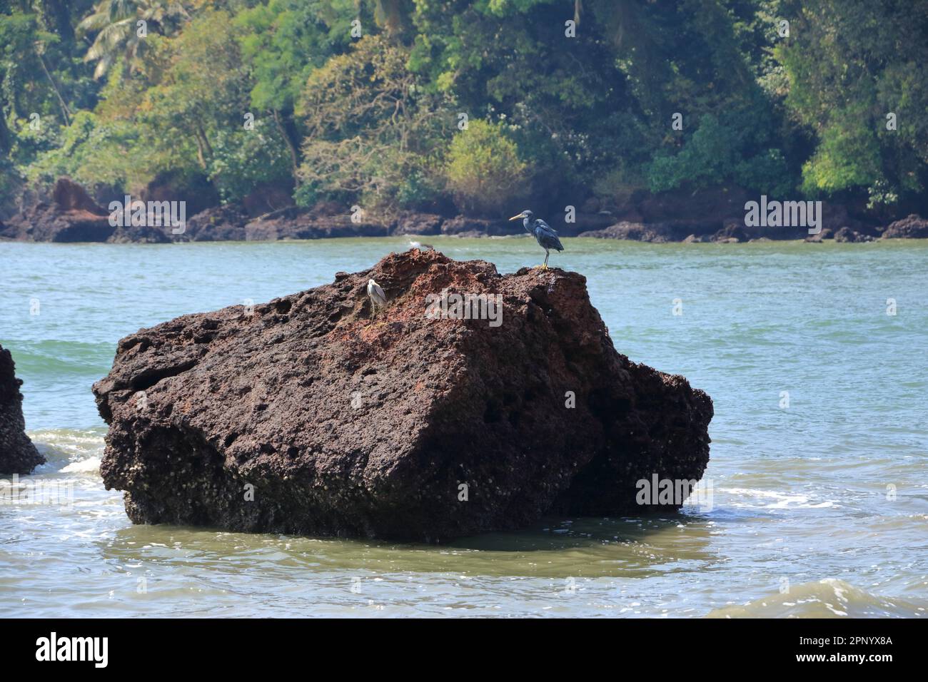 Dharmadam island and beach in Kannur, Kerala in India Stock Photo - Alamy