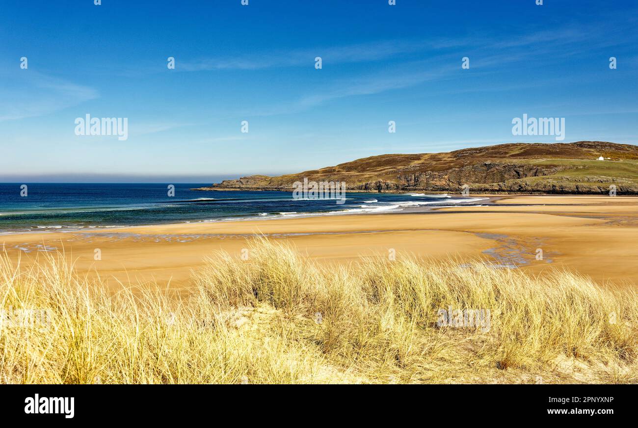 Torrisdale Bay Sutherland Scotland a blue sky and Marram grass ...