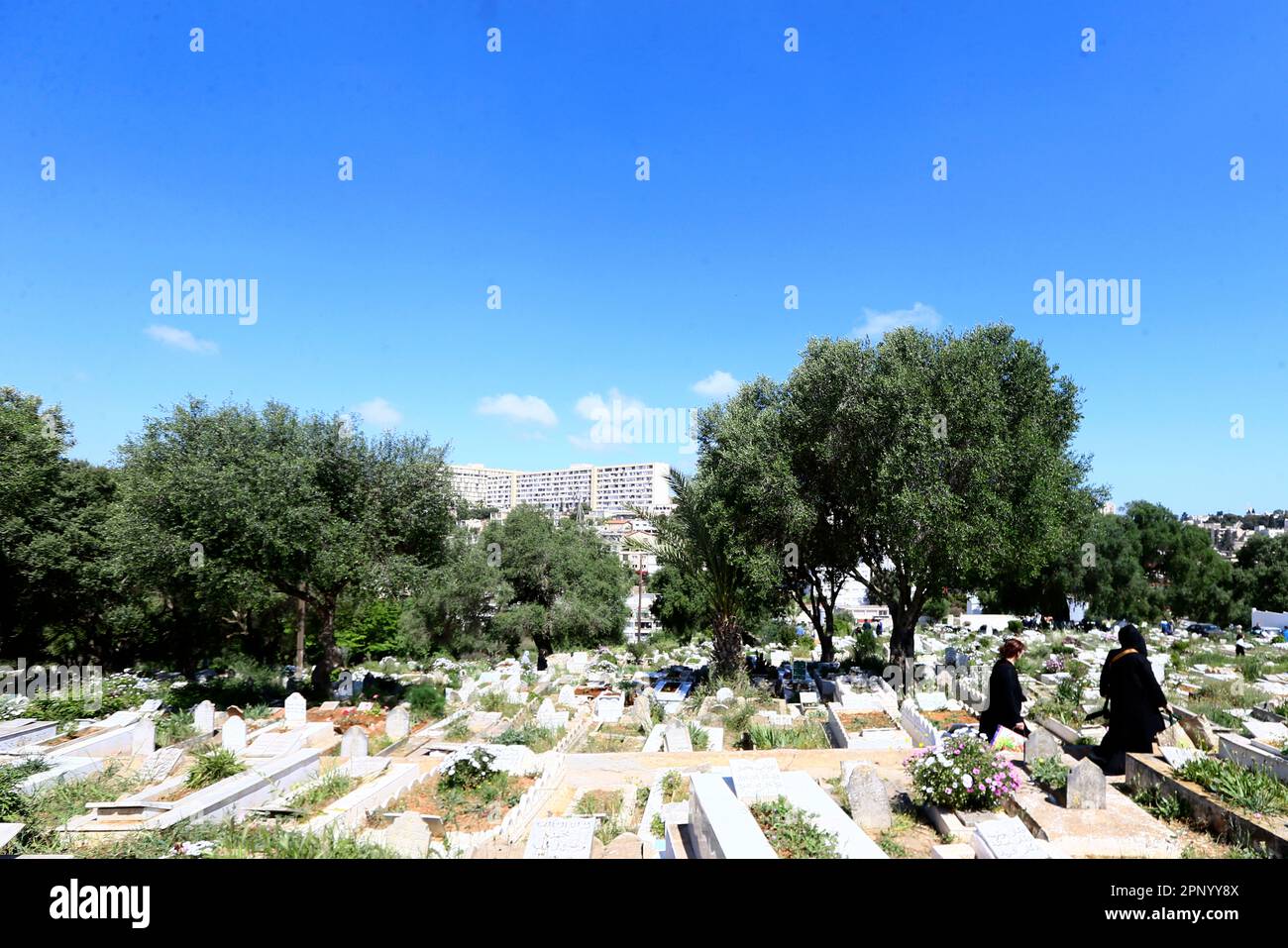 Muslims stroll in the Sidi Yahya cemetery to pray at relatives' tombs ...