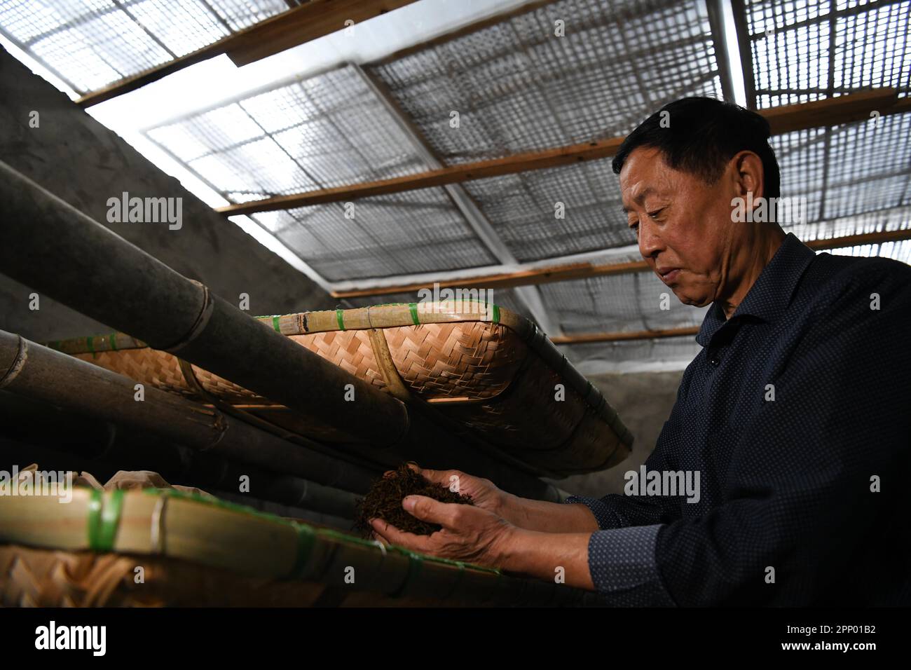 (230421) -- HEFEI, April 21, 2023 (Xinhua) -- Xie Yongzhong, inheritor ...