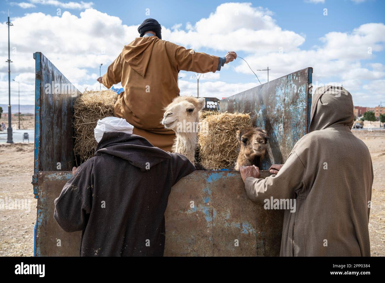 Djellaba berber hi-res stock photography and images - Alamy