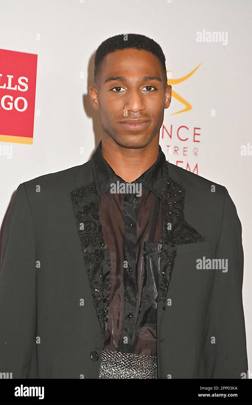 Derek Brockington attends The Dance Theatre of Harlem Vision Gala at ...