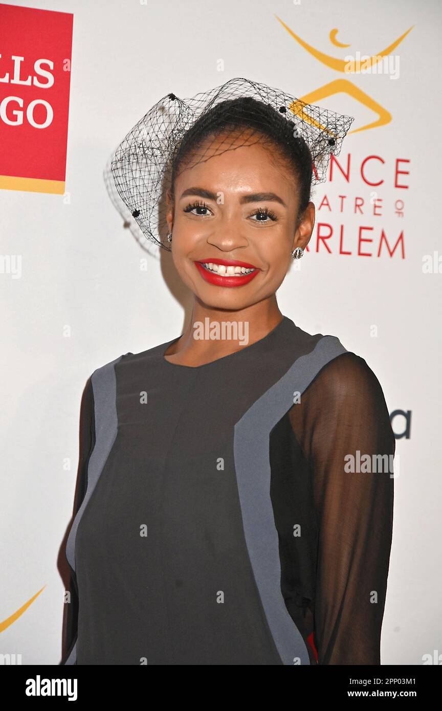 Alexandra Hutchinson attends The Dance Theatre of Harlem Vision Gala at ...