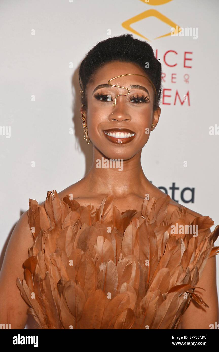 Dancer Daphne Marcelle Lee attends The Dance Theatre of Harlem Vision Gala at New York City ...