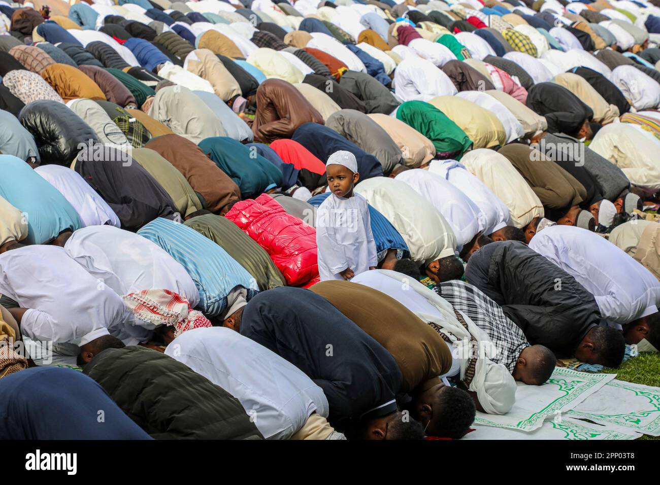 Sir ali muslim club ground hi-res stock photography and images - Alamy