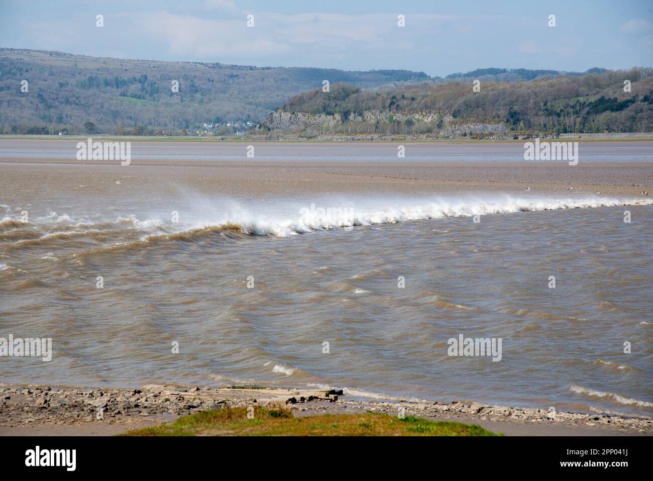 Arnside, Milnthorpe, Cumbria, UK The Arnside tidal bore traveling up ...