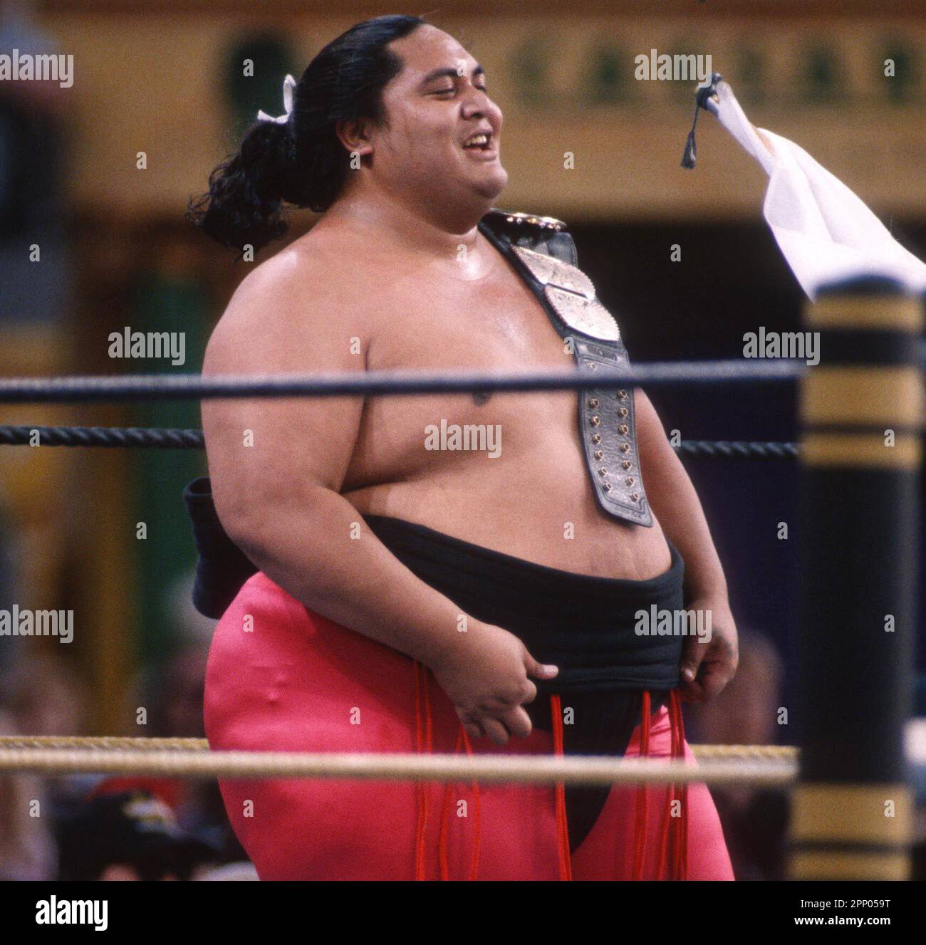 1993 Yokozuna Photo by John Barrett/PHOTOlink Stock Photo - Alamy