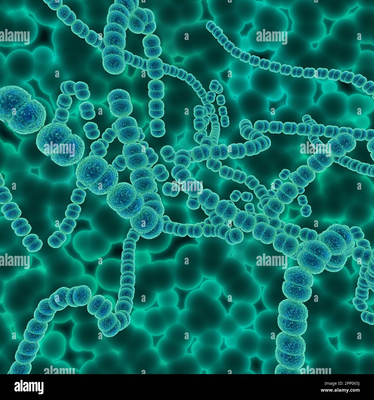 3d Render Of An Abstract Medical Image With Strep A Virus Cells Stock