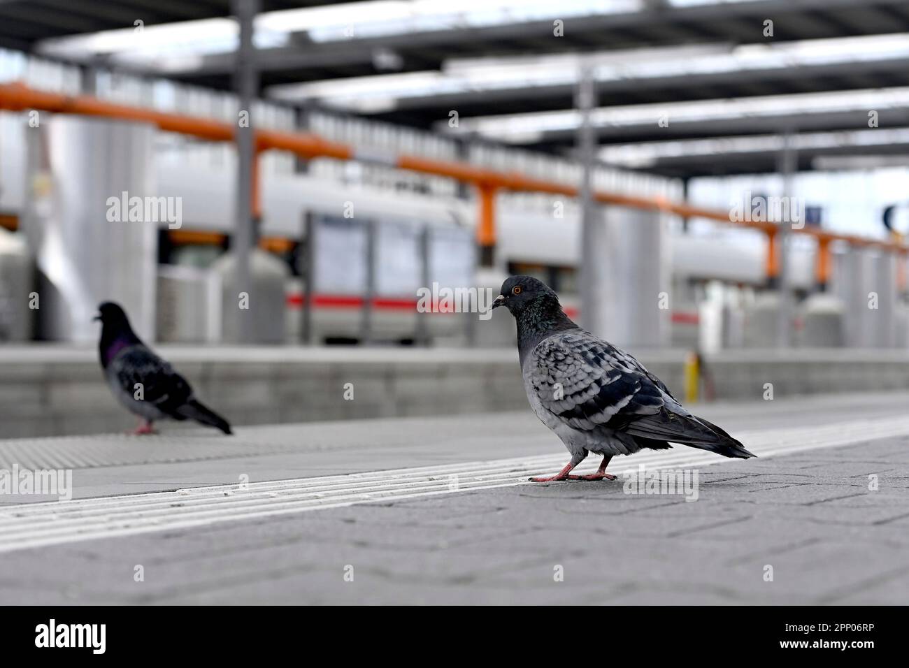 Strike on Friday, April 21, 2023 at the main train station in Munich ...