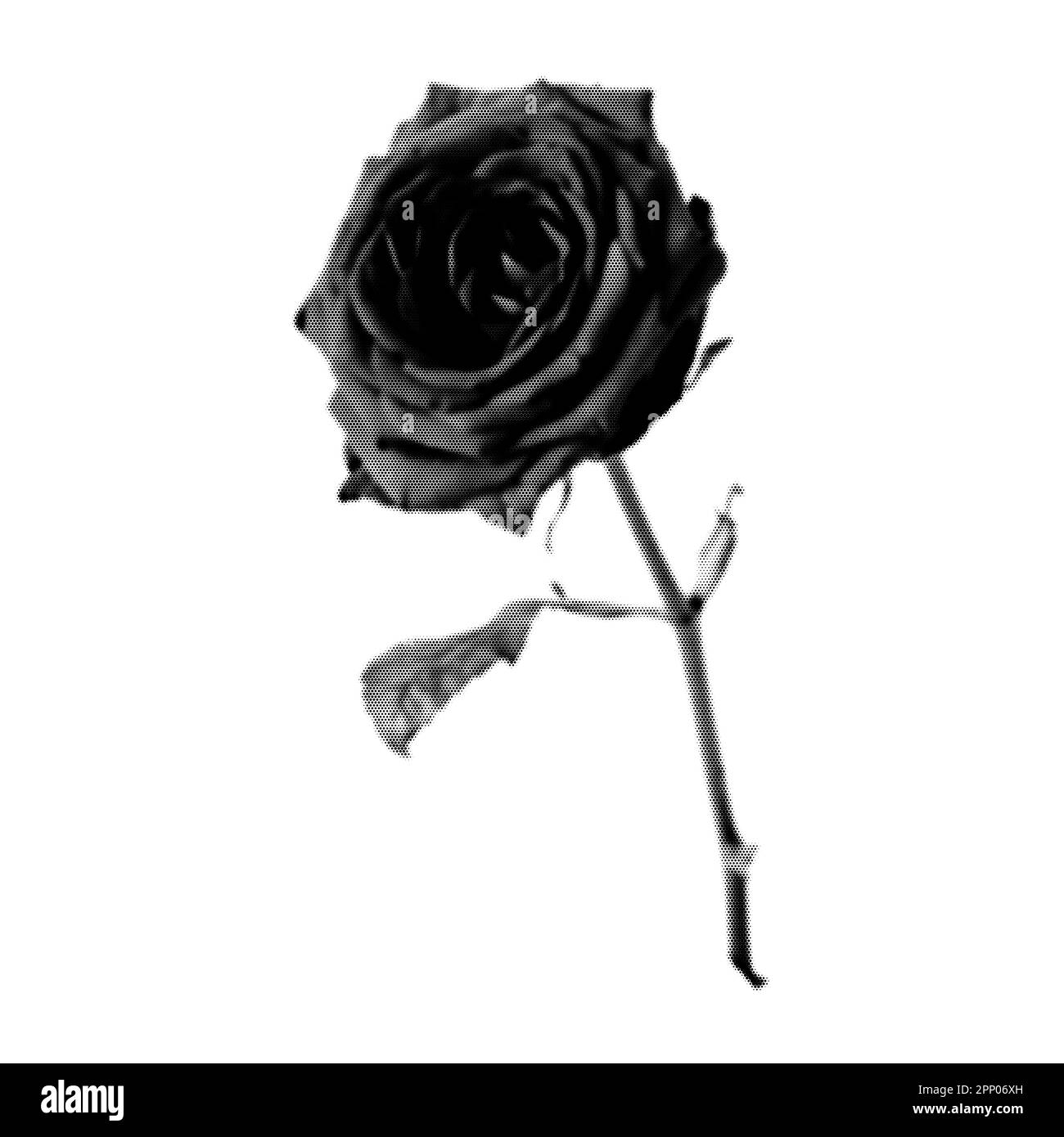 Rose collage. Design element in trendy dotted pop art style. Retro ...