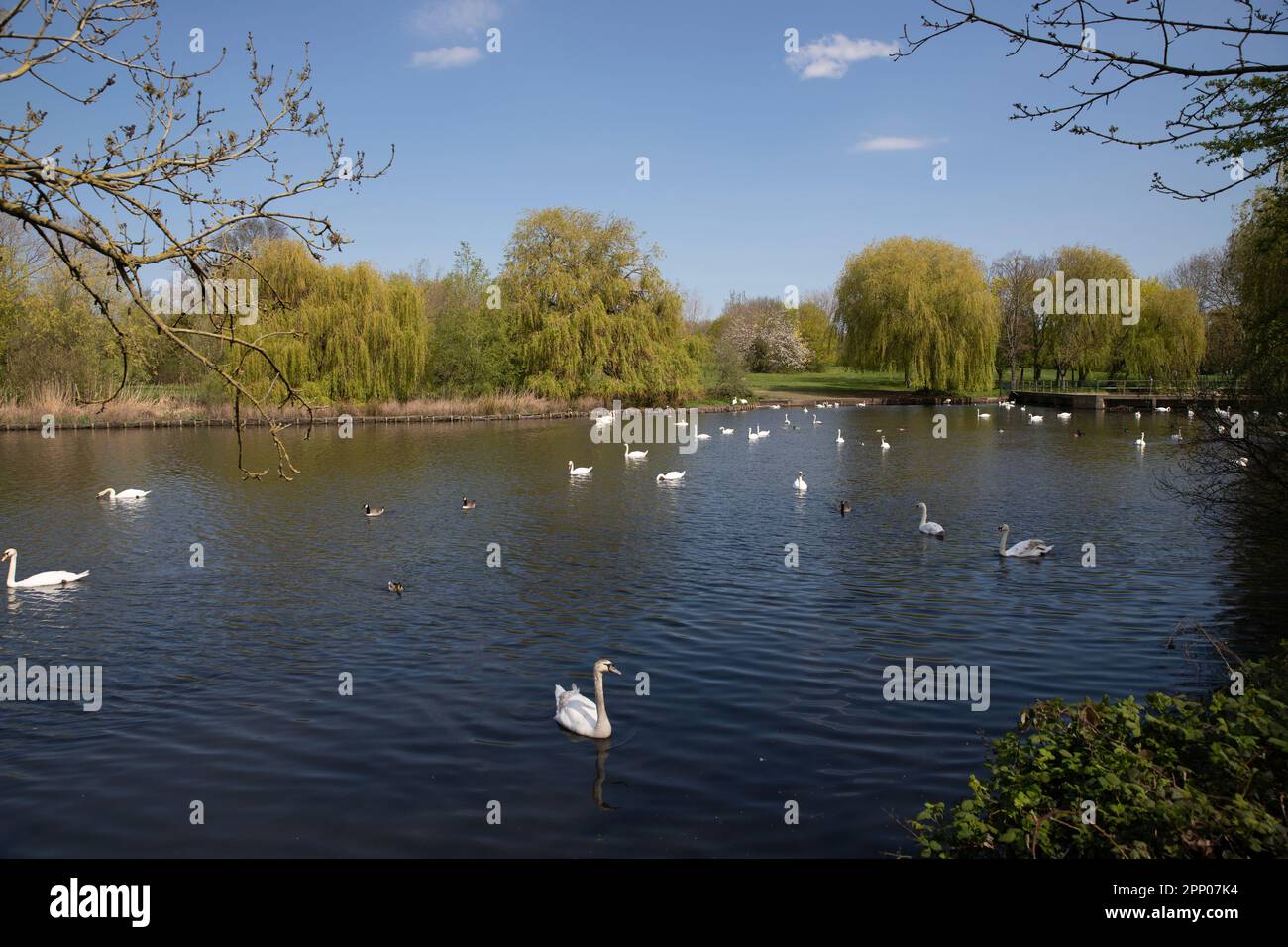 Harrow lodge hi-res stock photography and images - Alamy