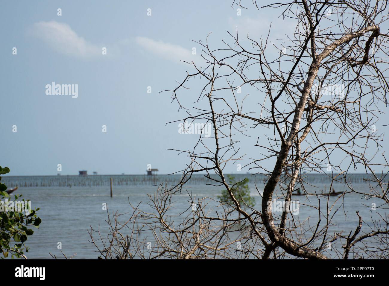 View landscape seascape and raise marine fish farm in bamboo cage of ...
