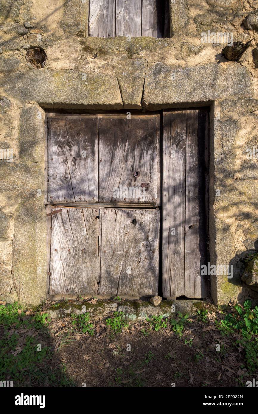 Old wooden door with moss in abandoned destroyed house with weeds on ...