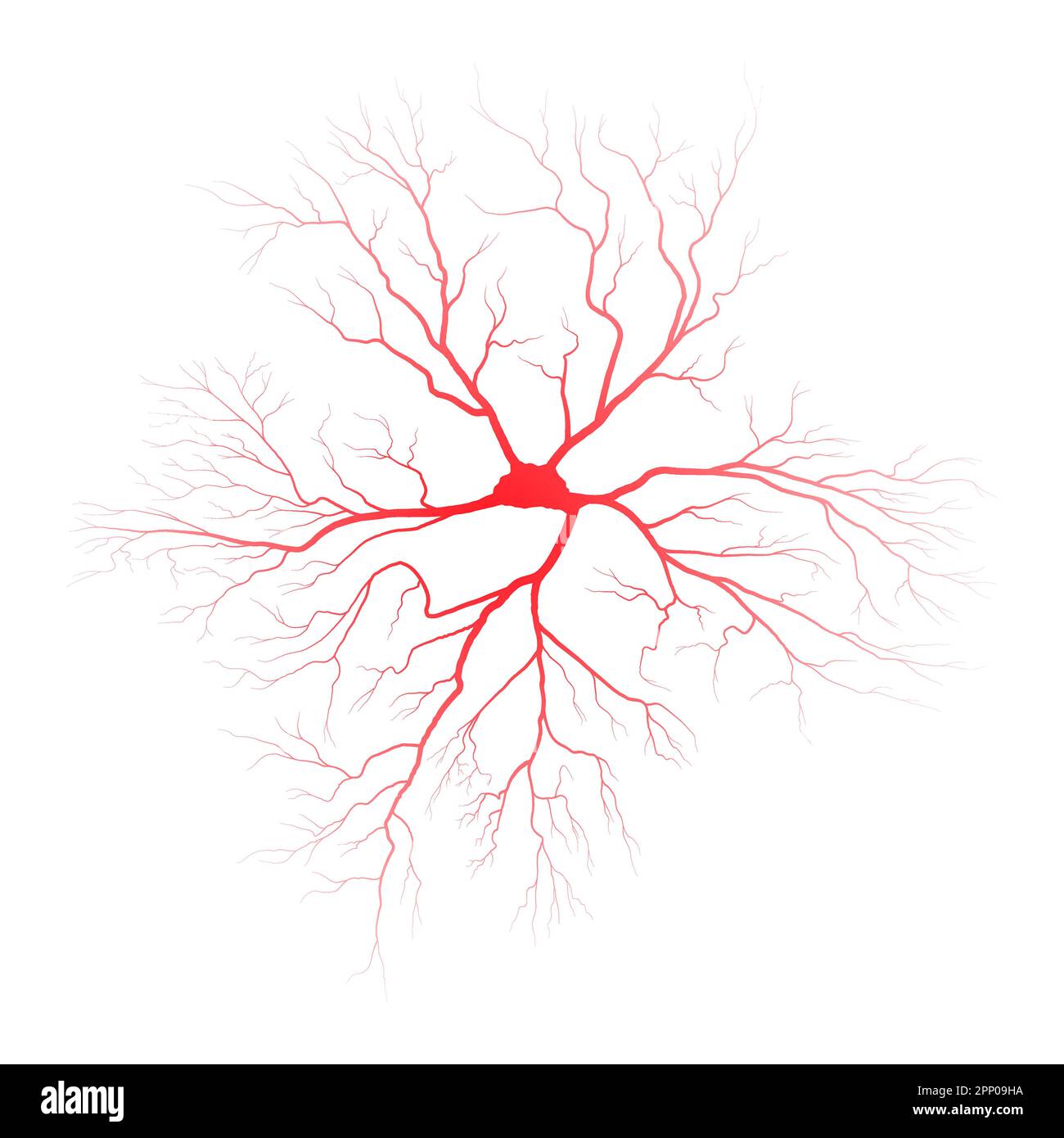 Human eye blood veins vessels silhouettes vector illustration isolated ...