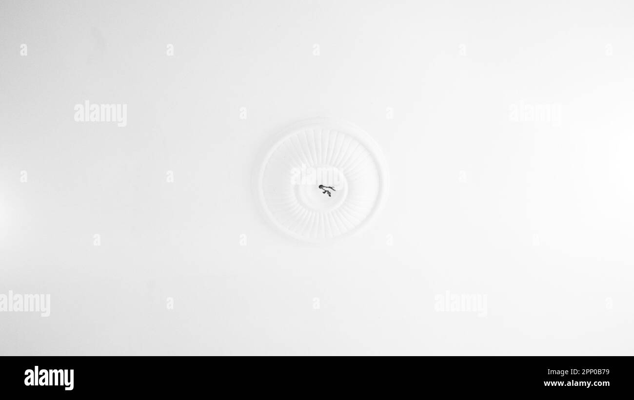 a white circle on the house's ceiling where the chandelier should be ...