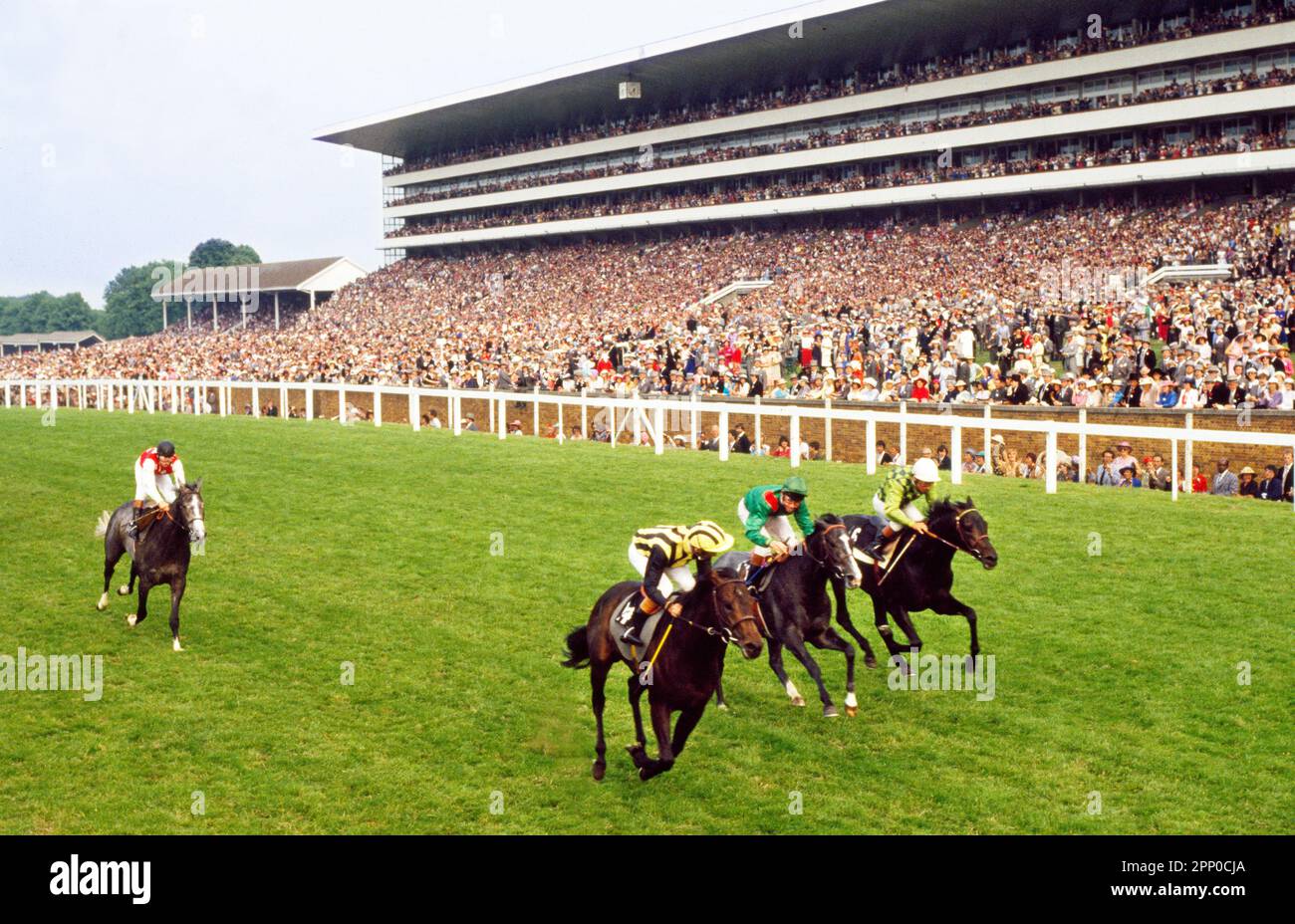 Close finnish at Royal Ascot races in 1982 Stock Photo - Alamy