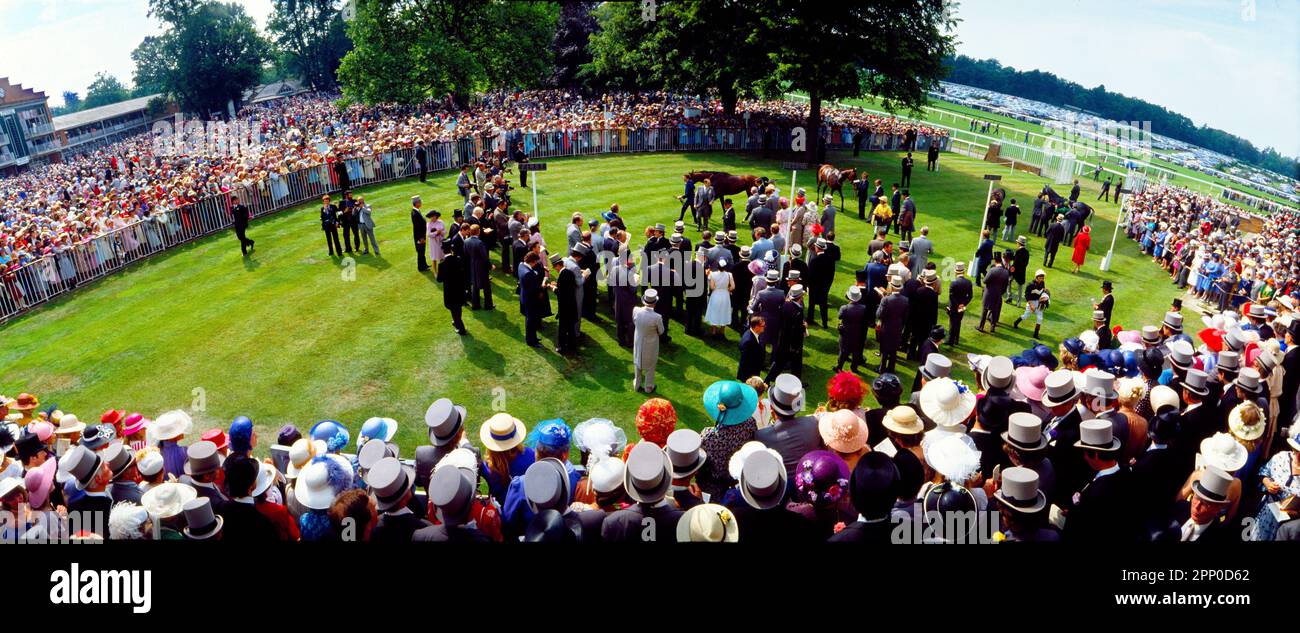 Royal ascot winners hi-res stock photography and images - Alamy