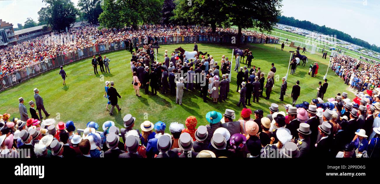 Winners Enclosure at Royal Ascot races in 1982 Stock Photo - Alamy