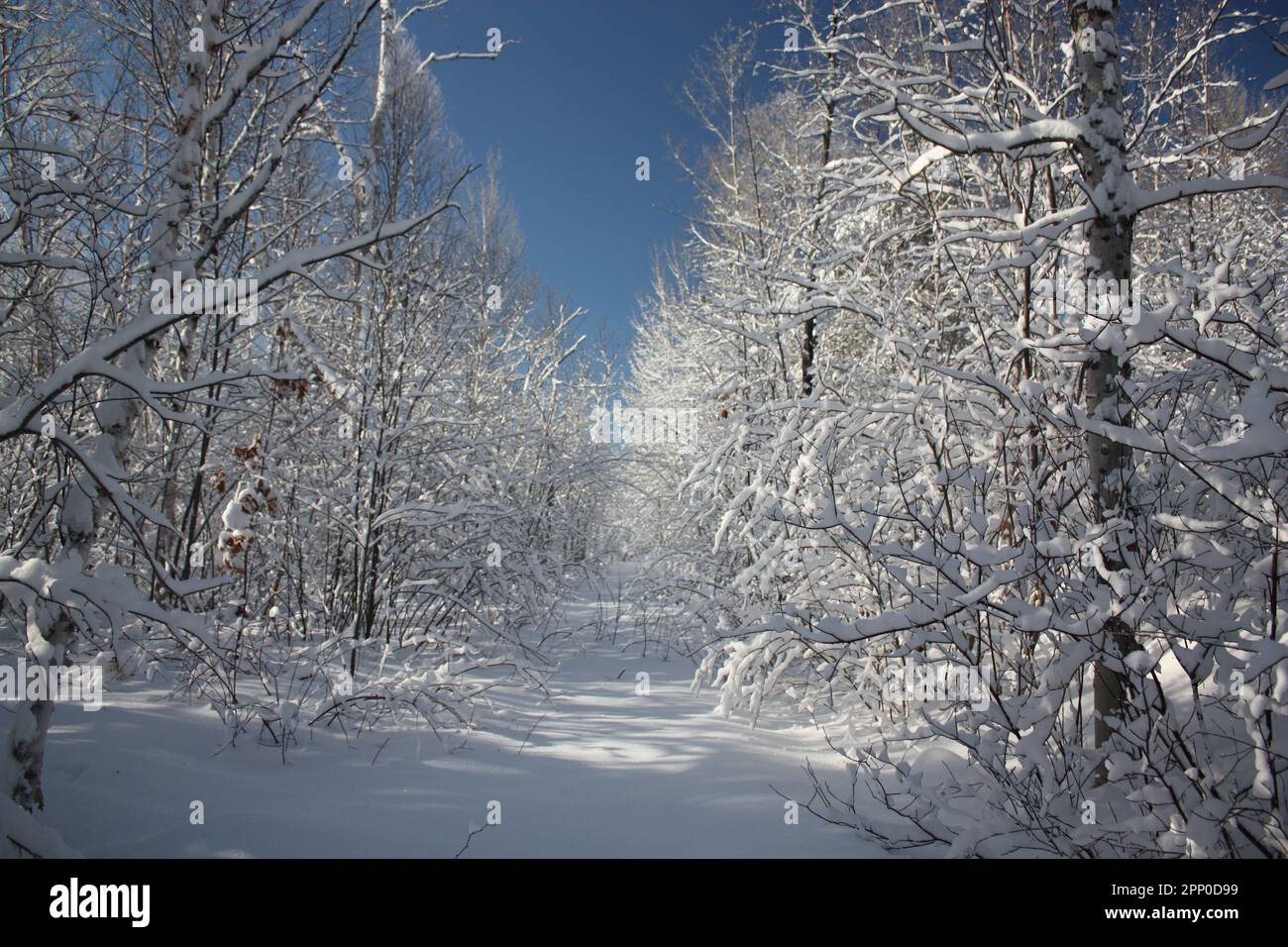 Snowy pathway hi-res stock photography and images - Alamy