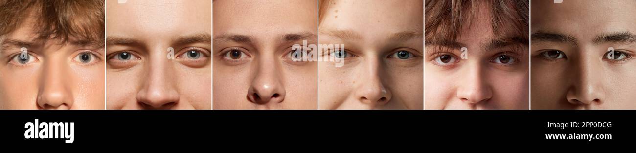 Collage. Set of close-up male faces of different age, looking at camera ...