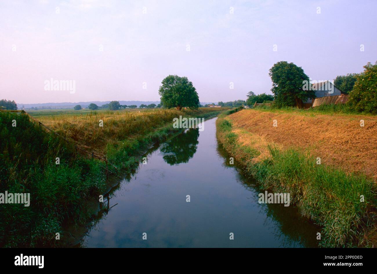 Drainage Rhyne on the Somerset Levels, UK Stock Photo - Alamy
