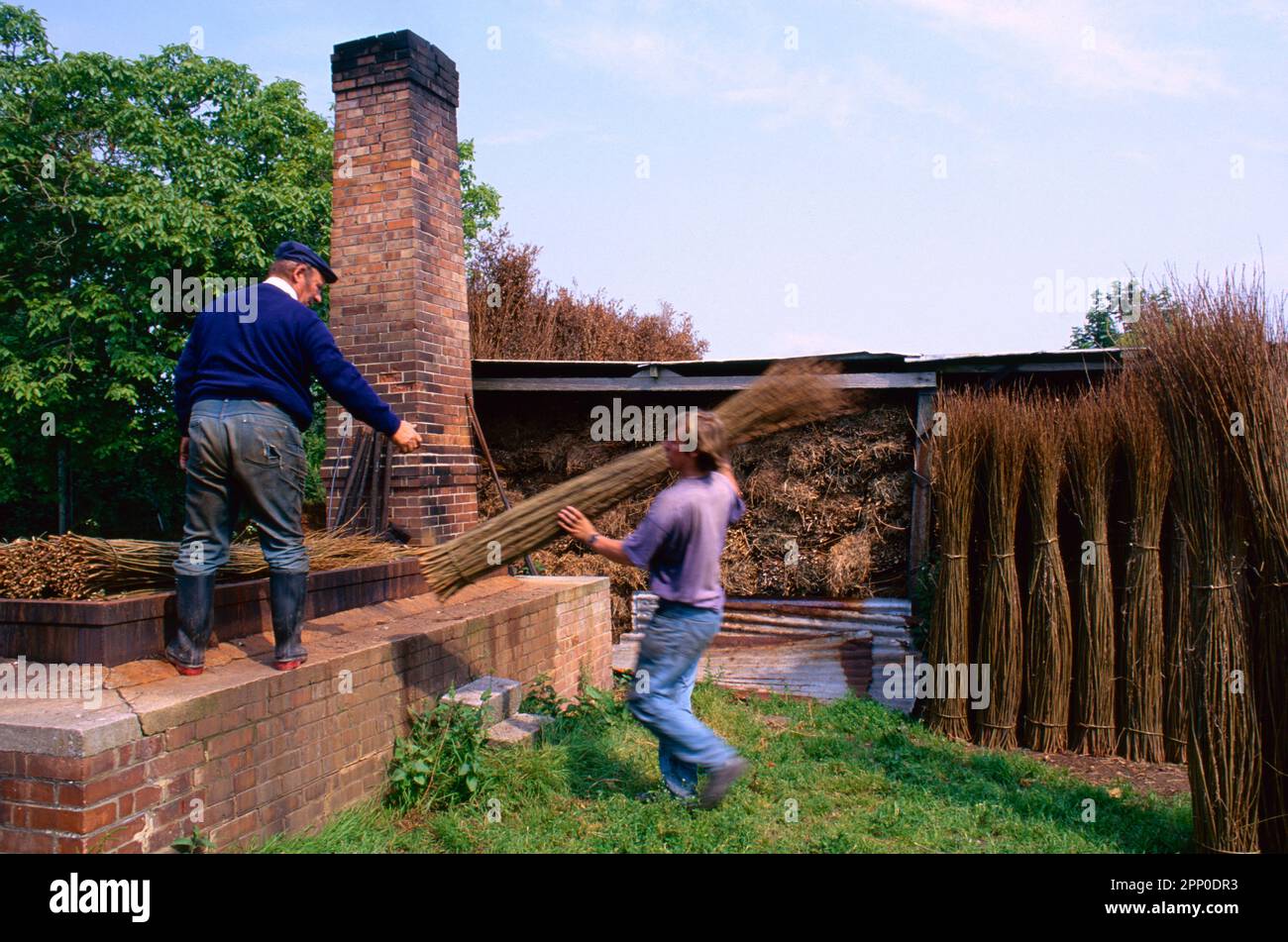 Withy cutter hi-res stock photography and images - Alamy