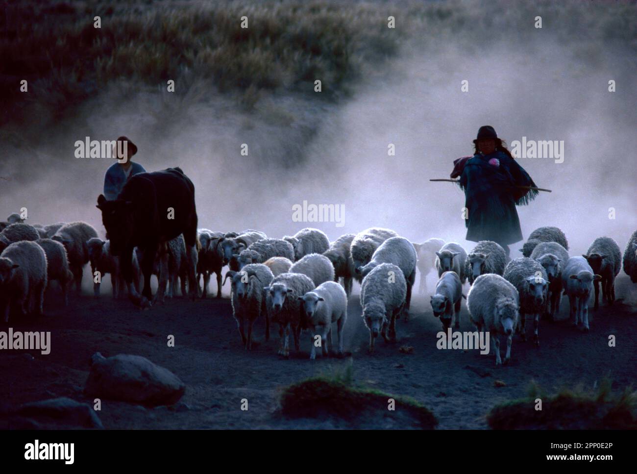 South american peasants hi-res stock photography and images - Alamy