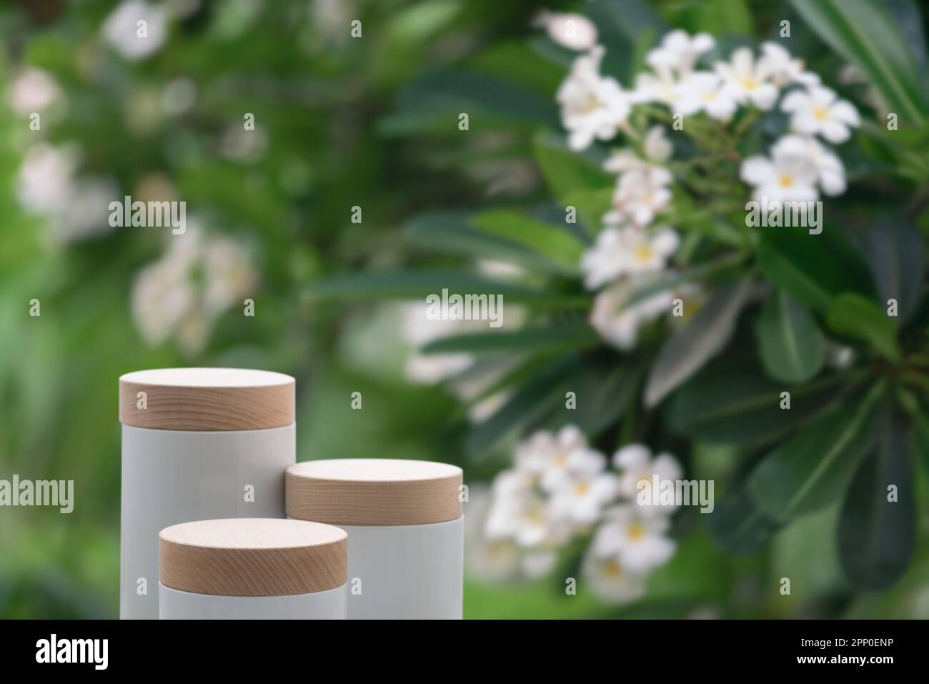 Minimal podium tabletop floor outdoor blurred white frangipani flowers ...