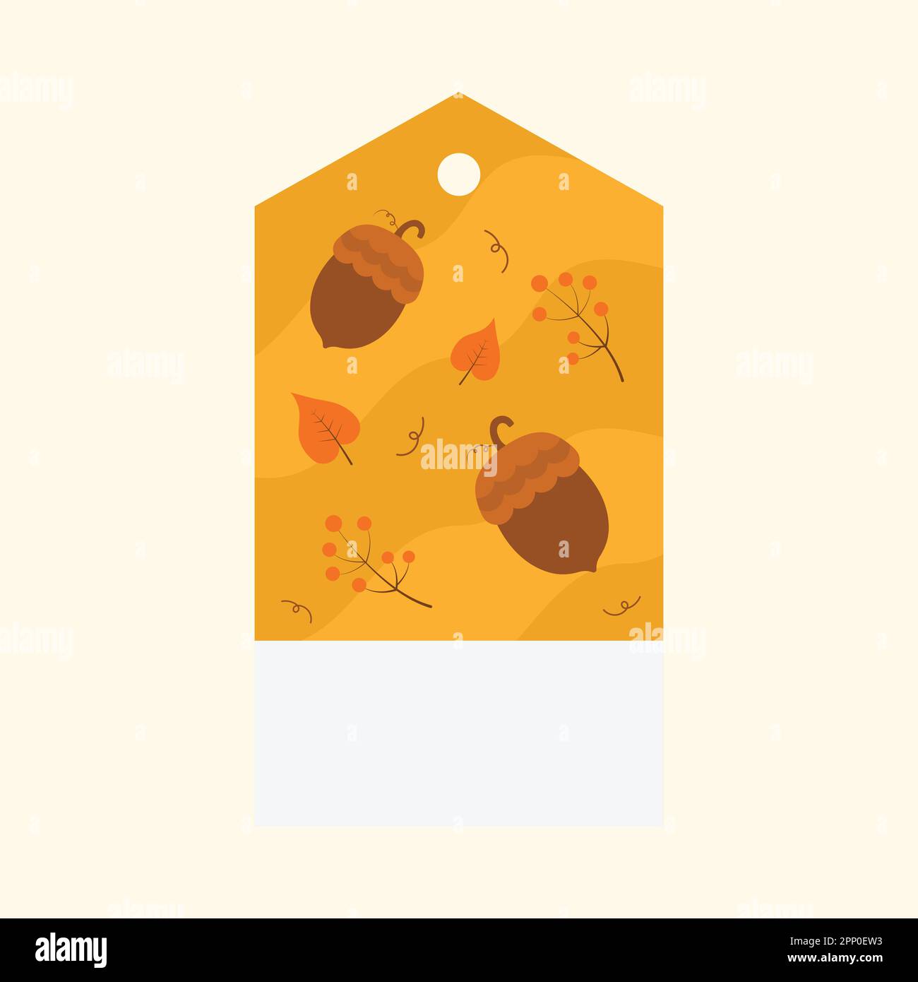 Autumn Tag Or Label Design With Acorns And Berry On Cosmic Latte ...