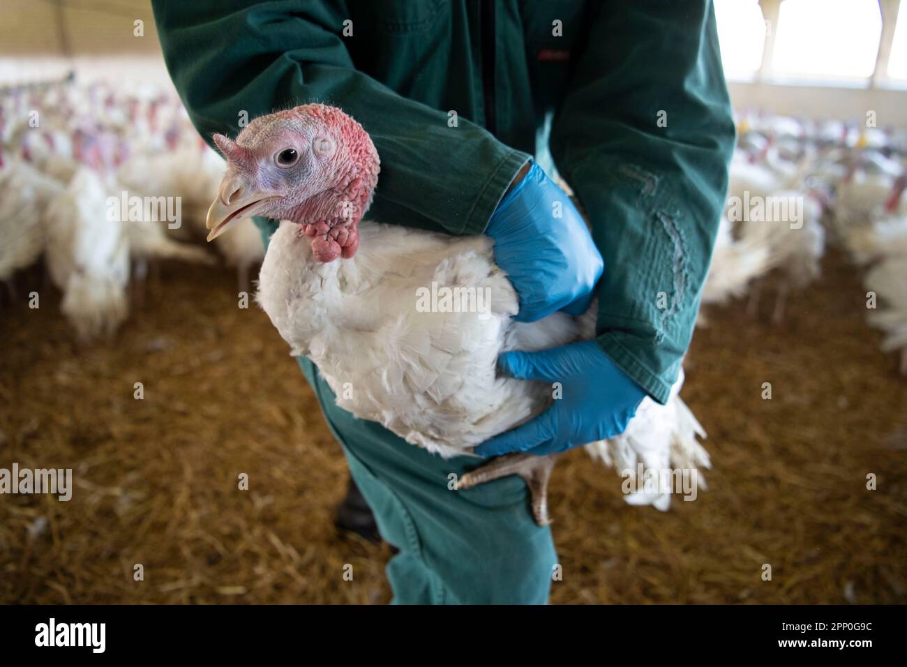 Heidemark hi-res stock photography and images - Alamy