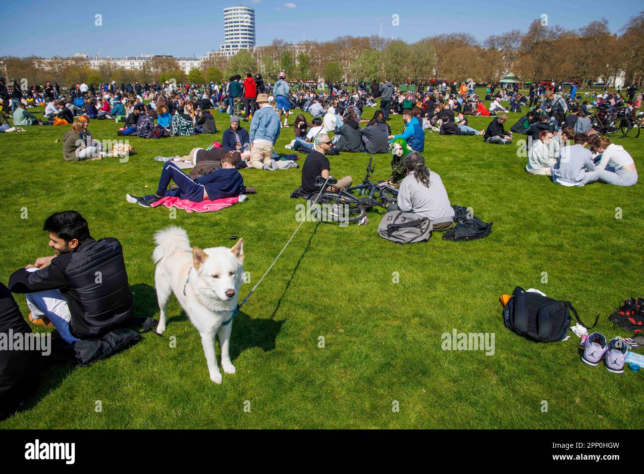 People in Hyde Park at the biggest weed festival in the world. 420 Hyde ...