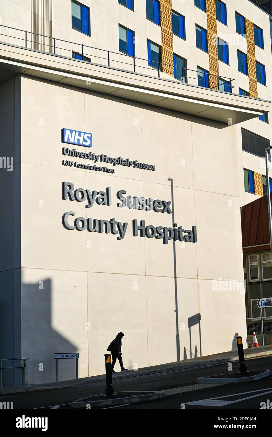 The recently built new redevelopment of the Royal Sussex County ...