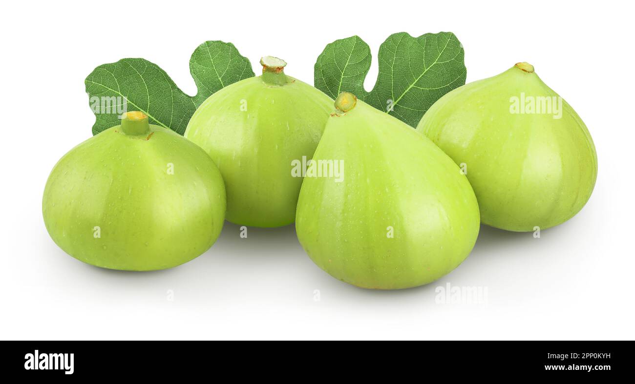 Ripe green fig fruit isolated on white background with full depth of ...