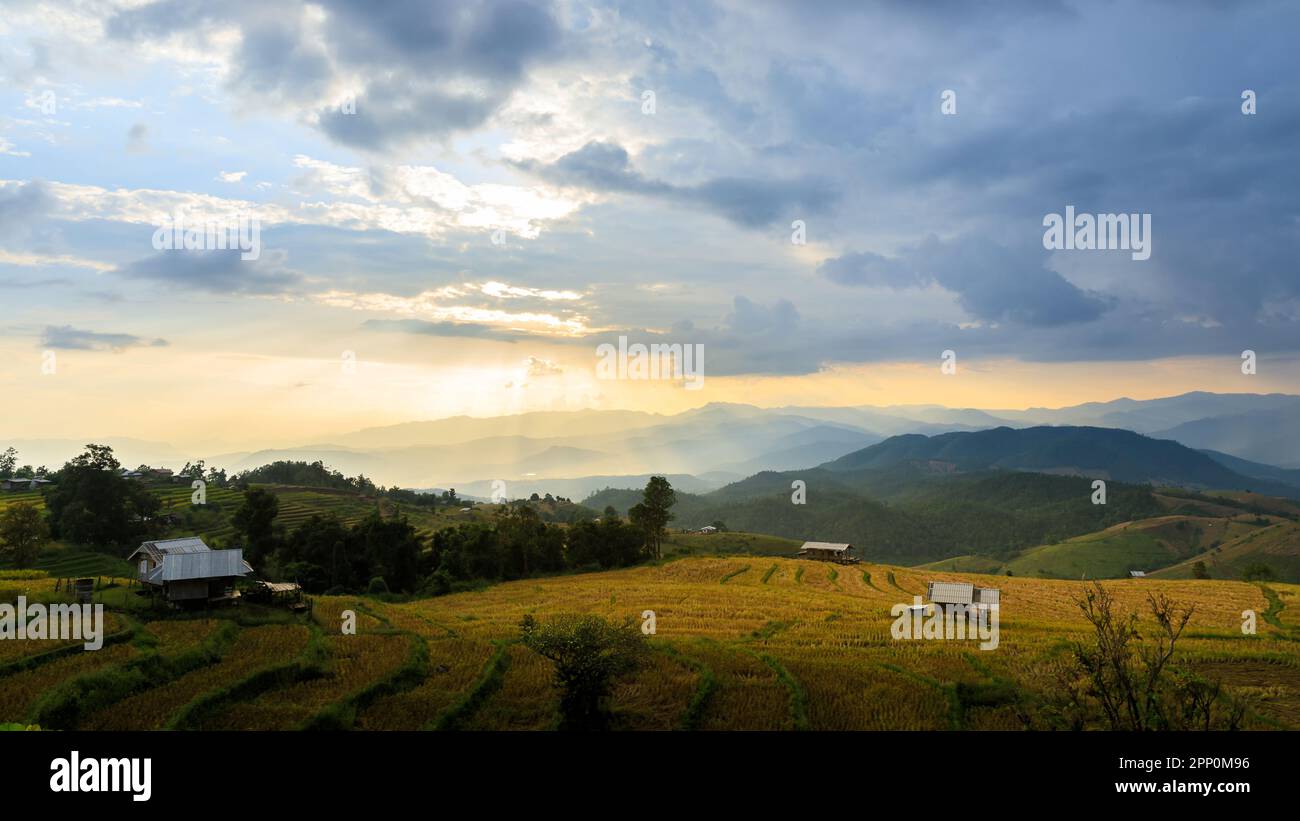 Beautiful landscape view of rice terraces in chiang mai , Thailand ...