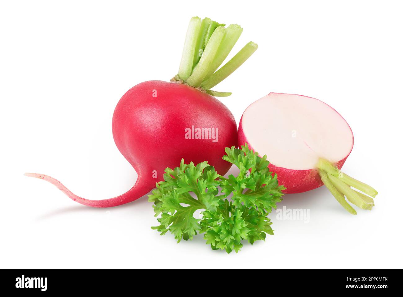 Radish with half isolated on white background with full depth of field ...