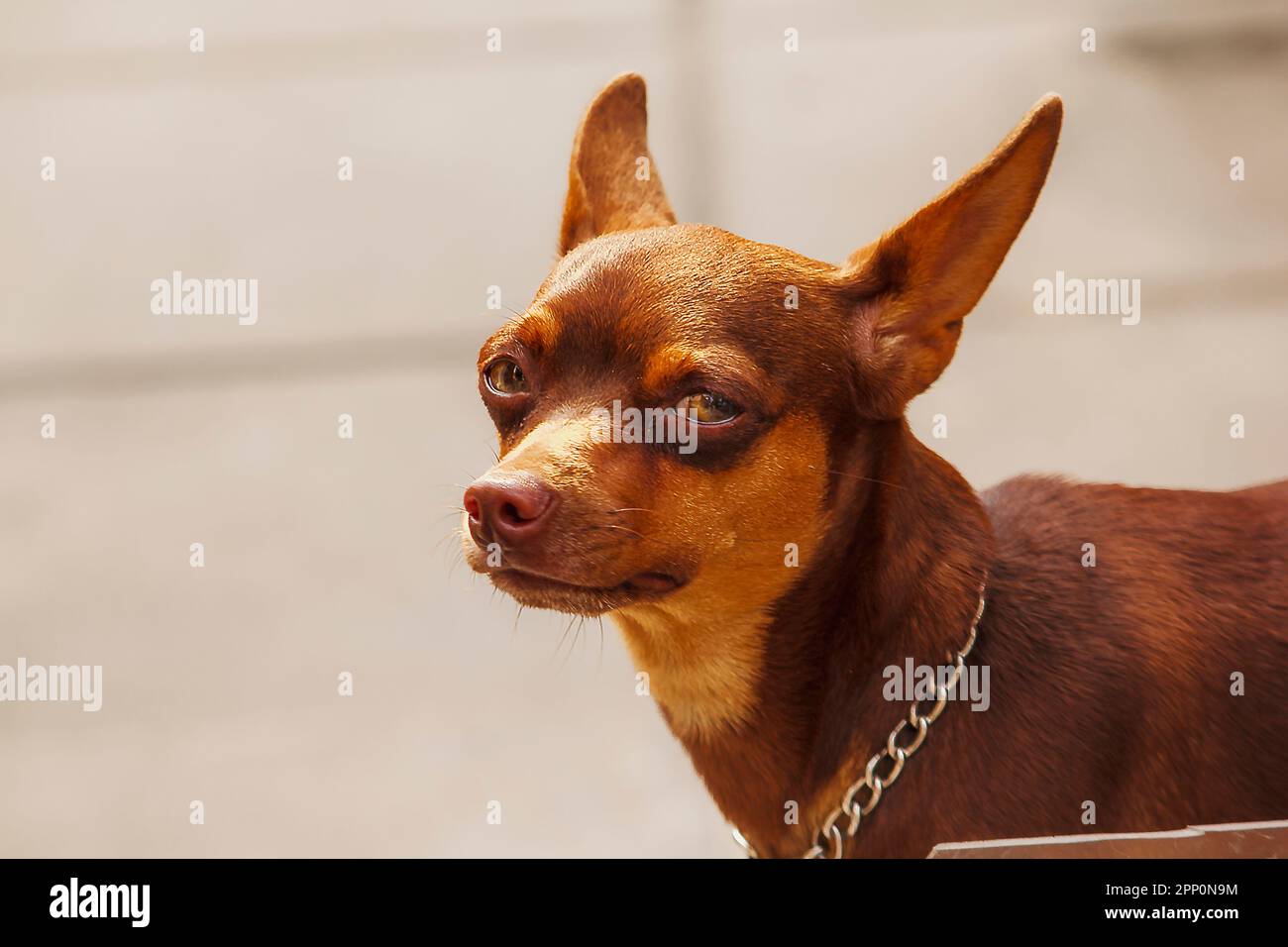 Woman peeking around corner hi-res stock photography and images - Alamy