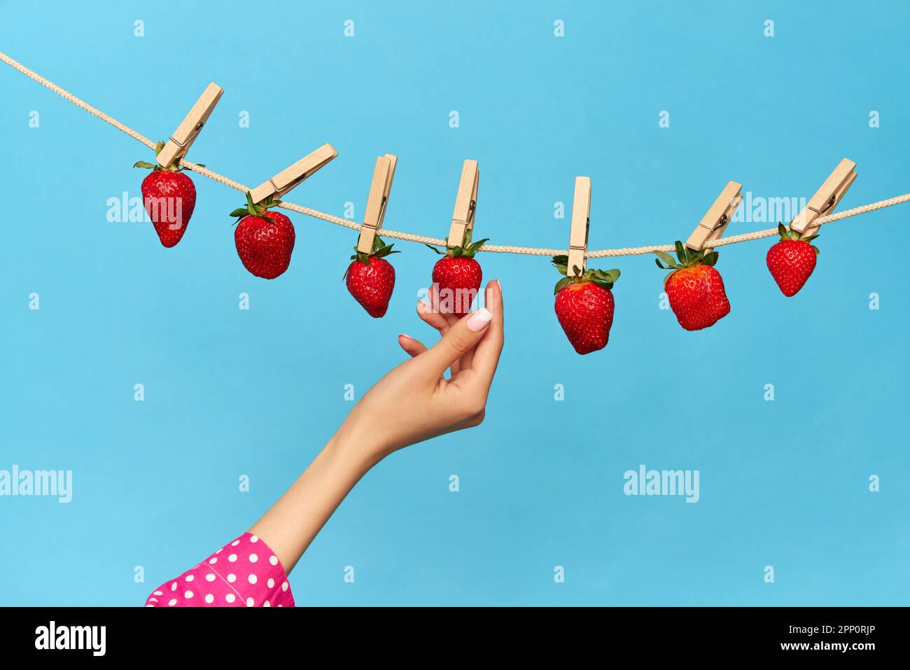 Creative portrait of delicious strawberry hanging and drying on rope ...