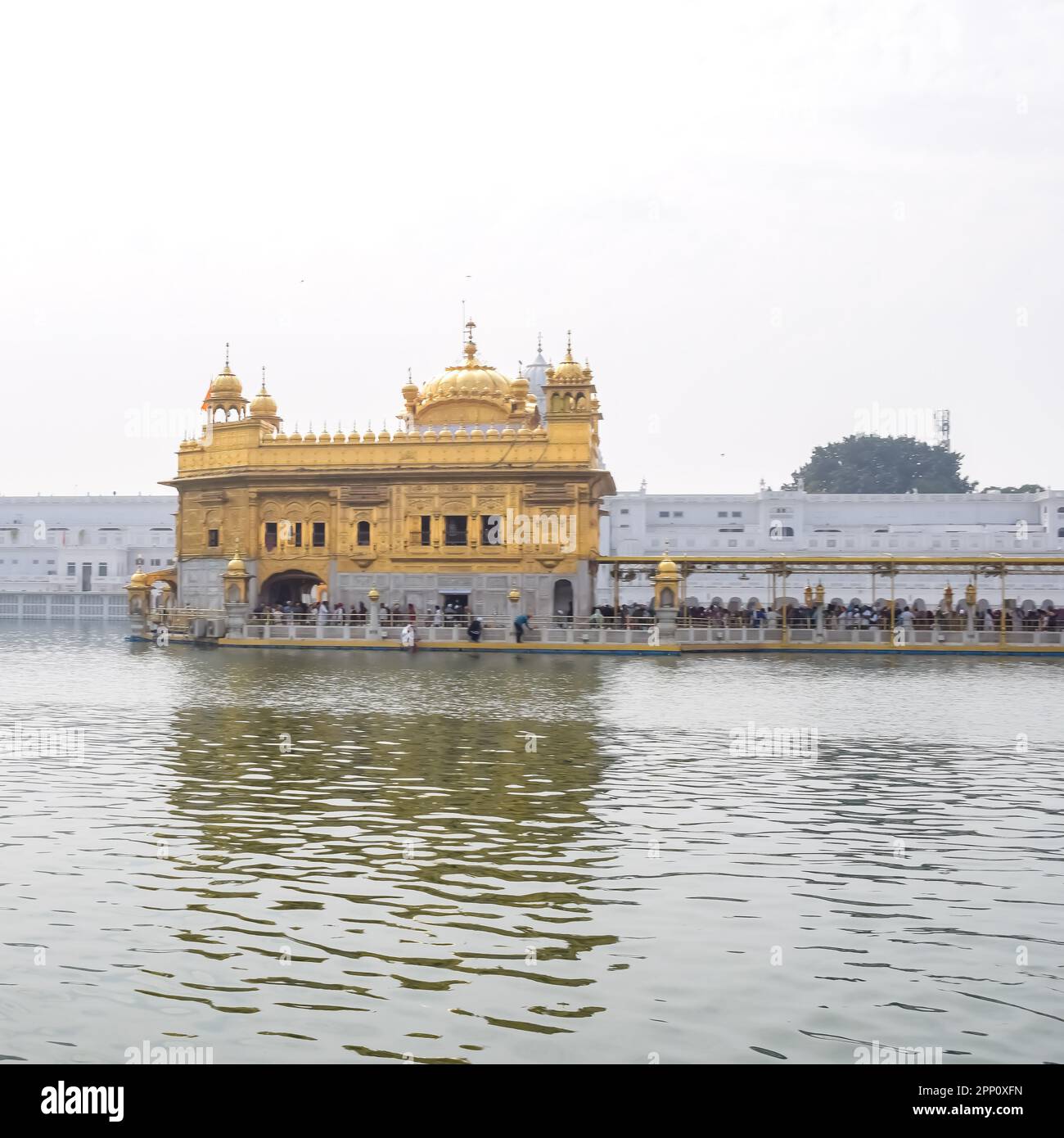 Beautiful view of Golden Temple (Harmandir Sahib) in Amritsar, Punjab ...