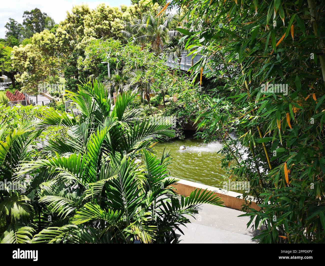 This stunning image captures the vibrant beauty of Roma Street Parkland ...