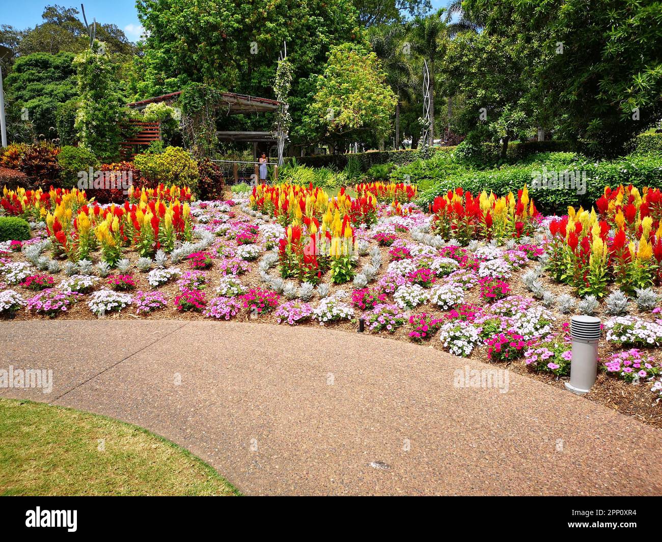 This stunning image captures the vibrant beauty of Roma Street Parkland ...