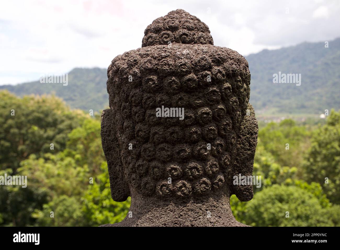 Theodore van erp hi-res stock photography and images - Alamy