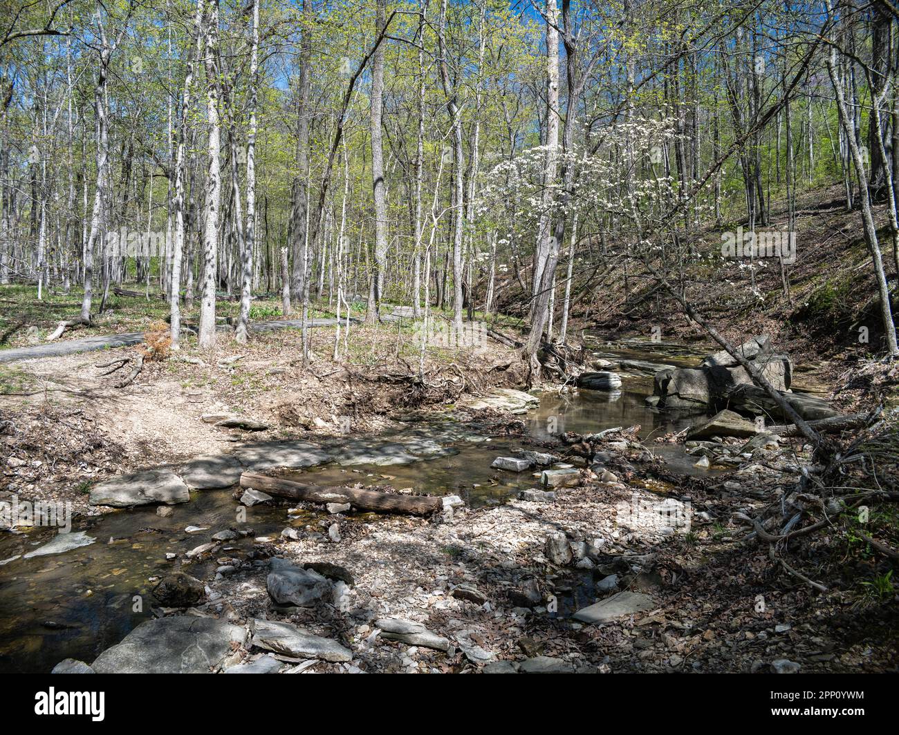 Hickory Ridge Trail at Powder Valley Conservation Nature Center Stock ...