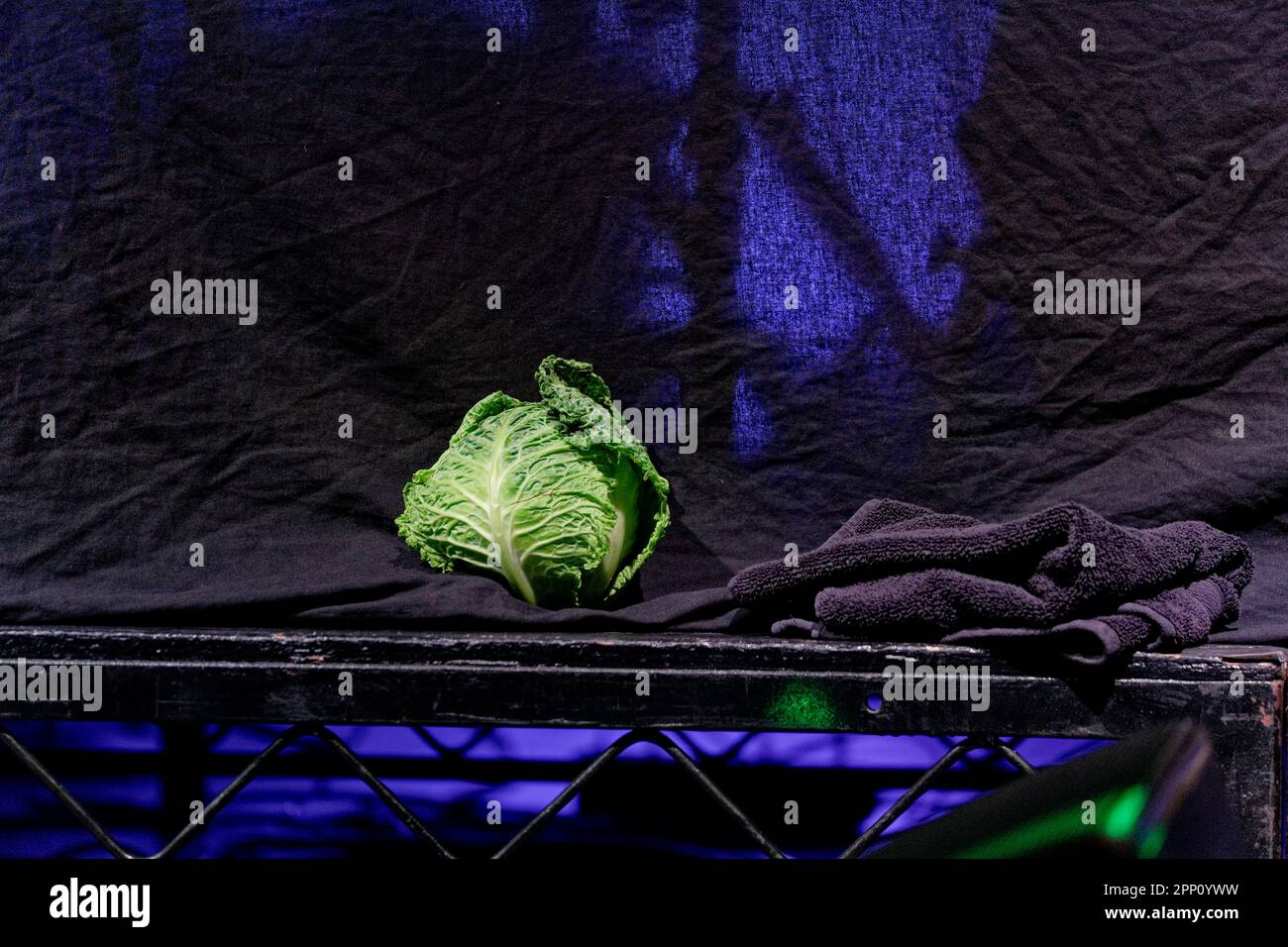 The Damned, O2 Guildhall, Southampton, April 2023 Stock Photo - Alamy