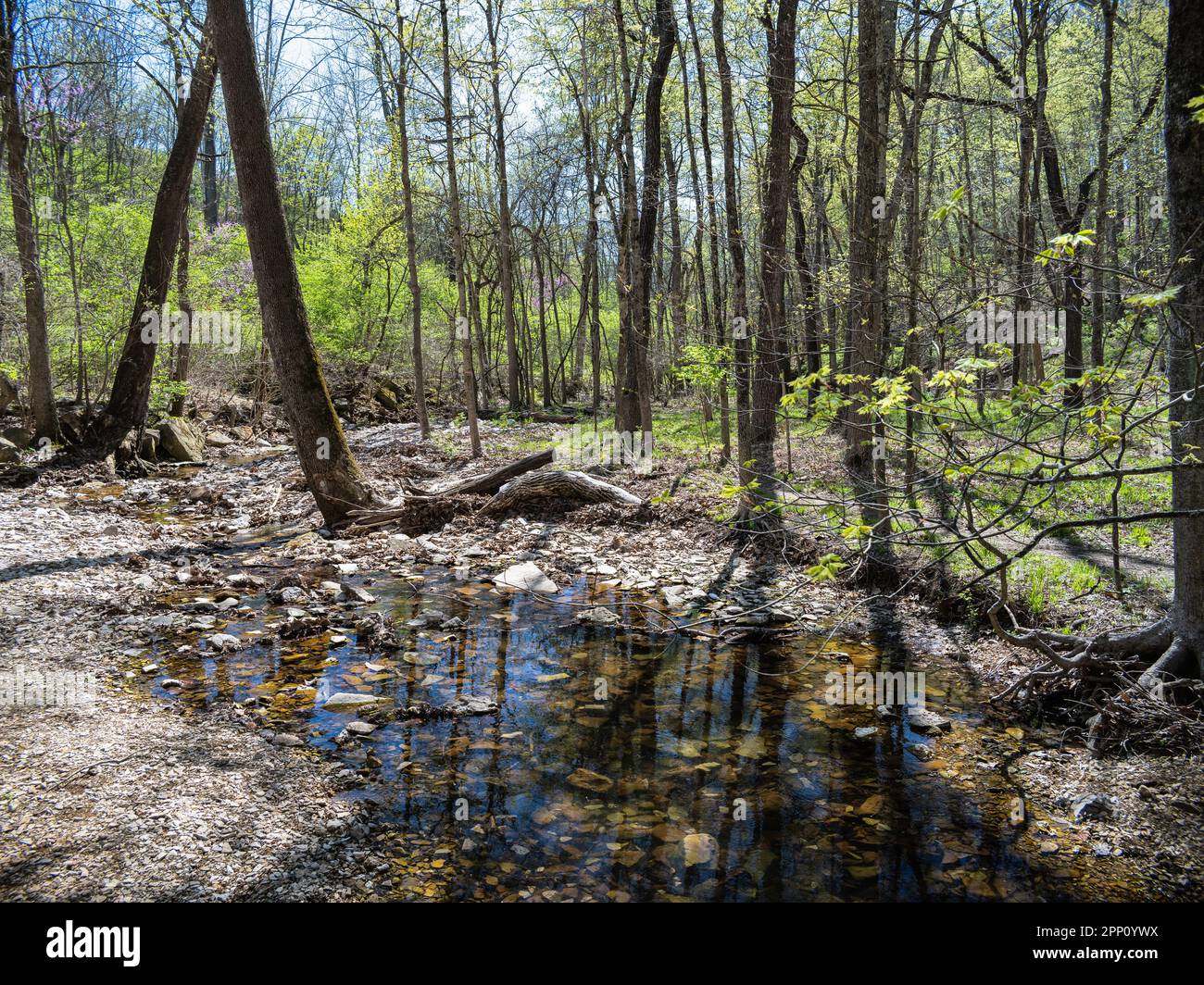 Hickory Ridge Trail at Powder Valley Conservation Nature Center Stock ...