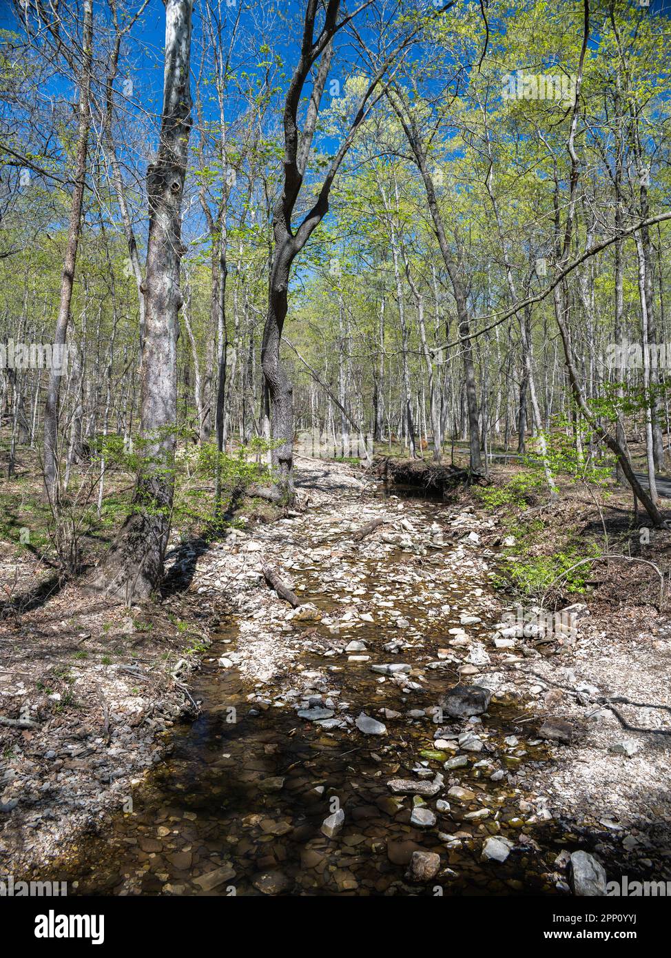 Hickory Ridge Trail at Powder Valley Conservation Nature Center Stock ...