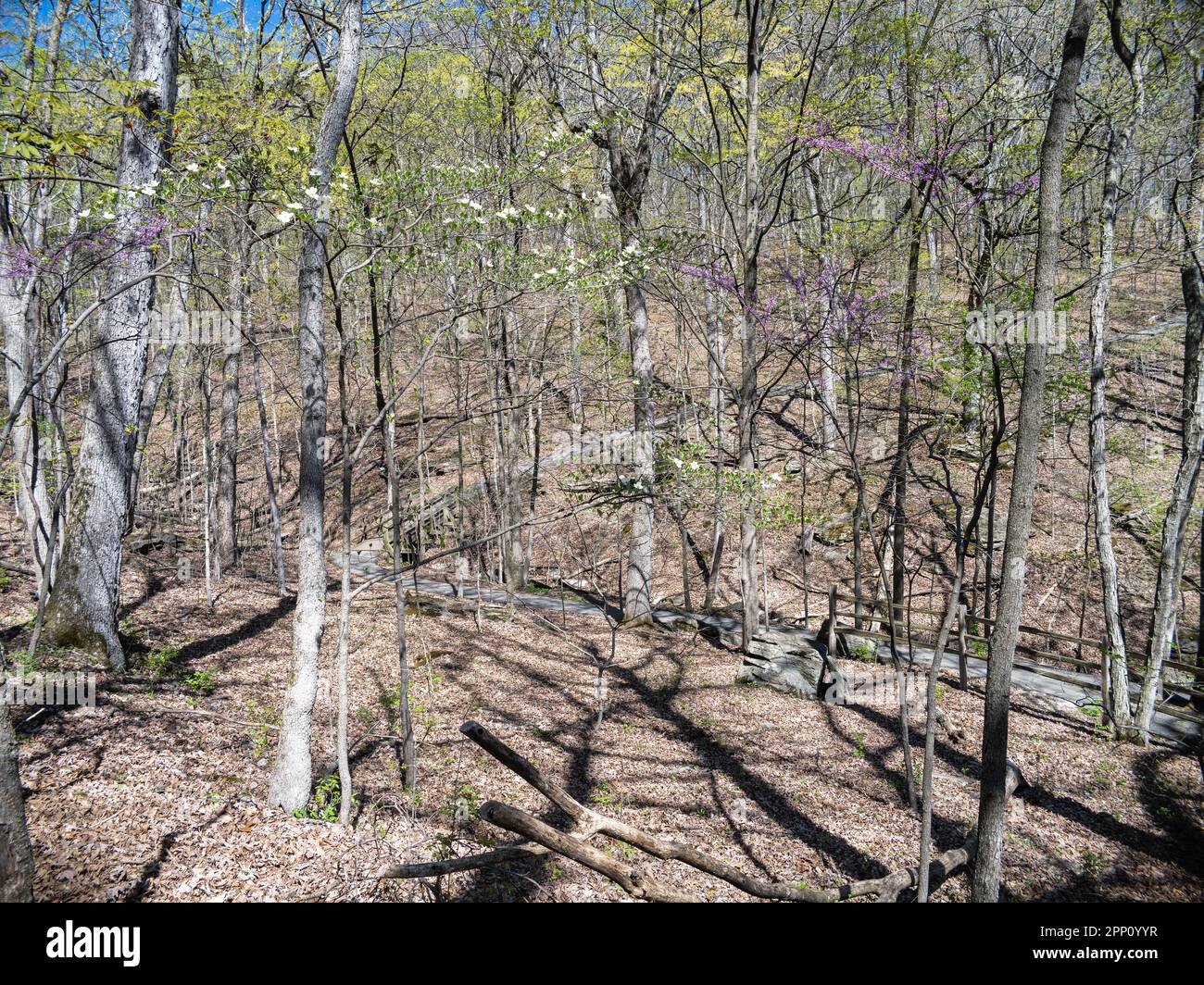 Hickory Ridge Trail at Powder Valley Conservation Nature Center Stock ...