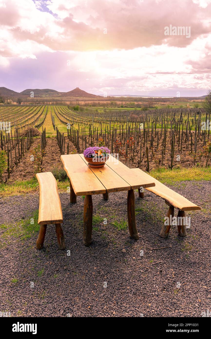 vinery vineyard on saint george hill next to lake Balaton with wooden ...