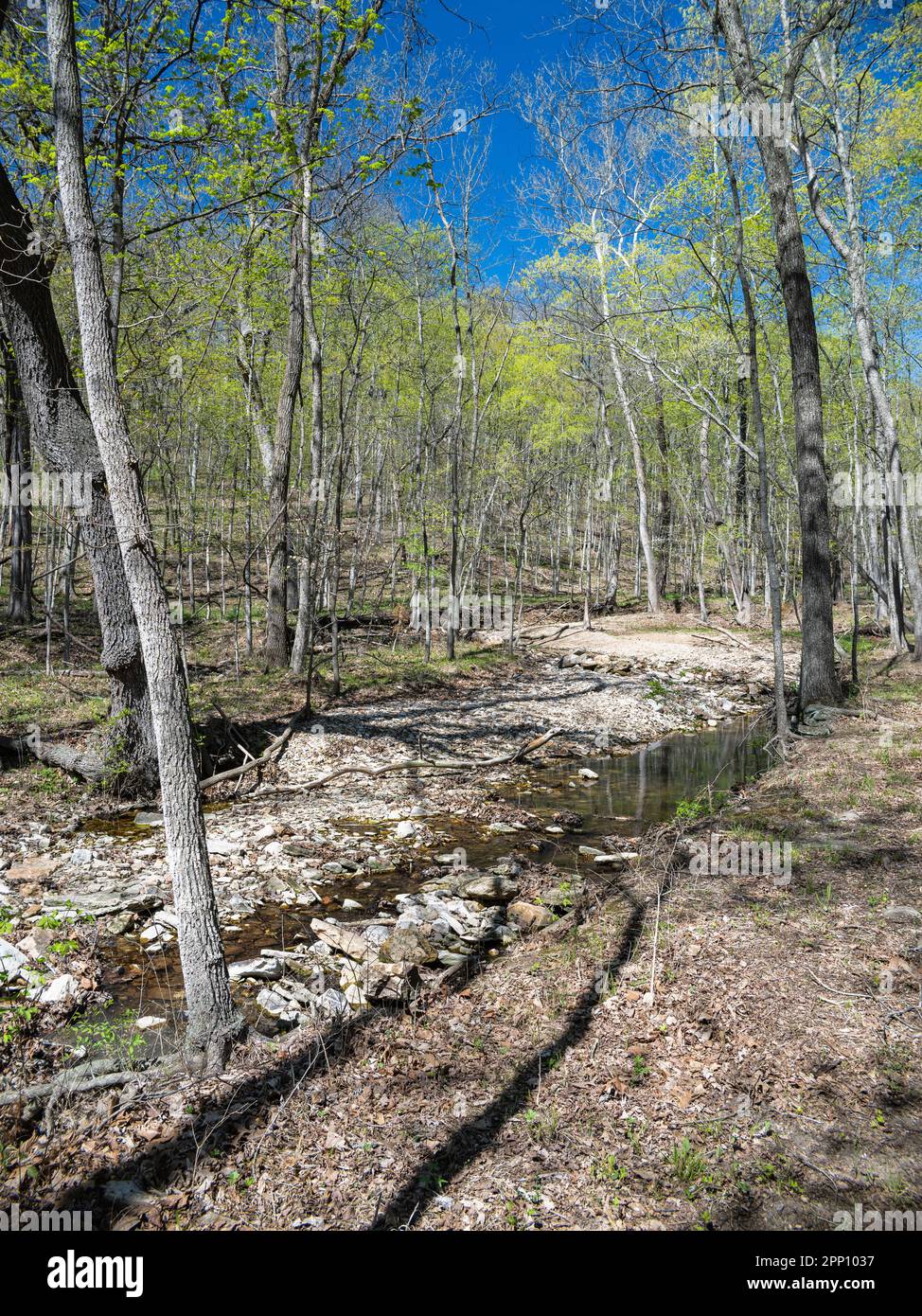 Hickory Ridge Trail at Powder Valley Conservation Nature Center Stock ...