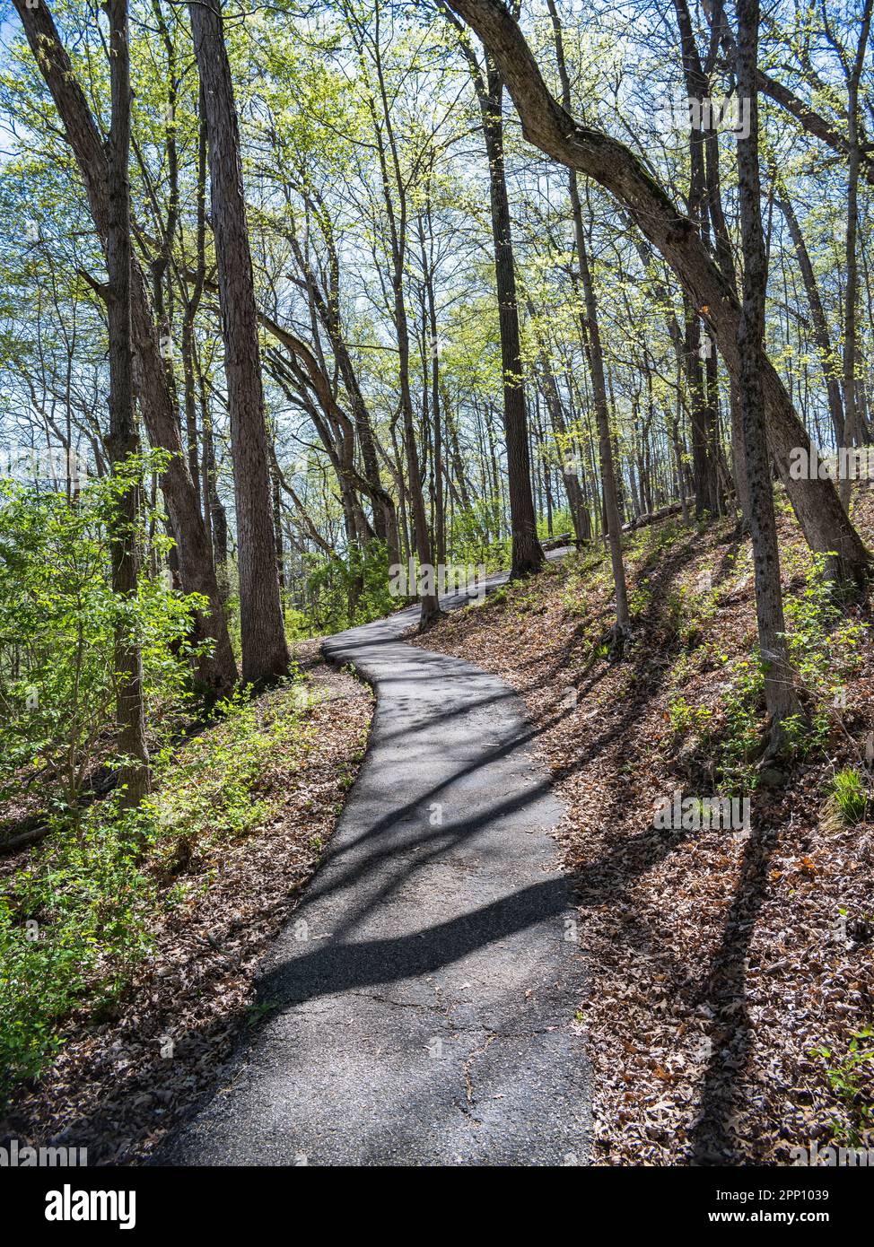 Hickory Ridge Trail at Powder Valley Conservation Nature Center Stock ...